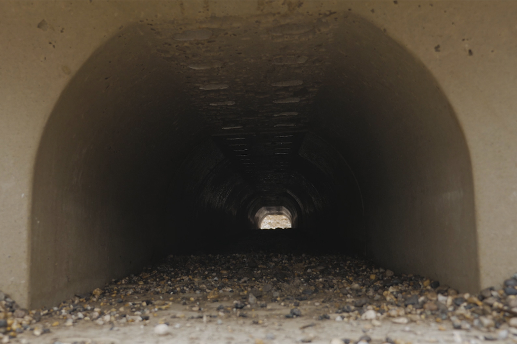 Un crapauduc au col de la Crusille - Savoie.fr